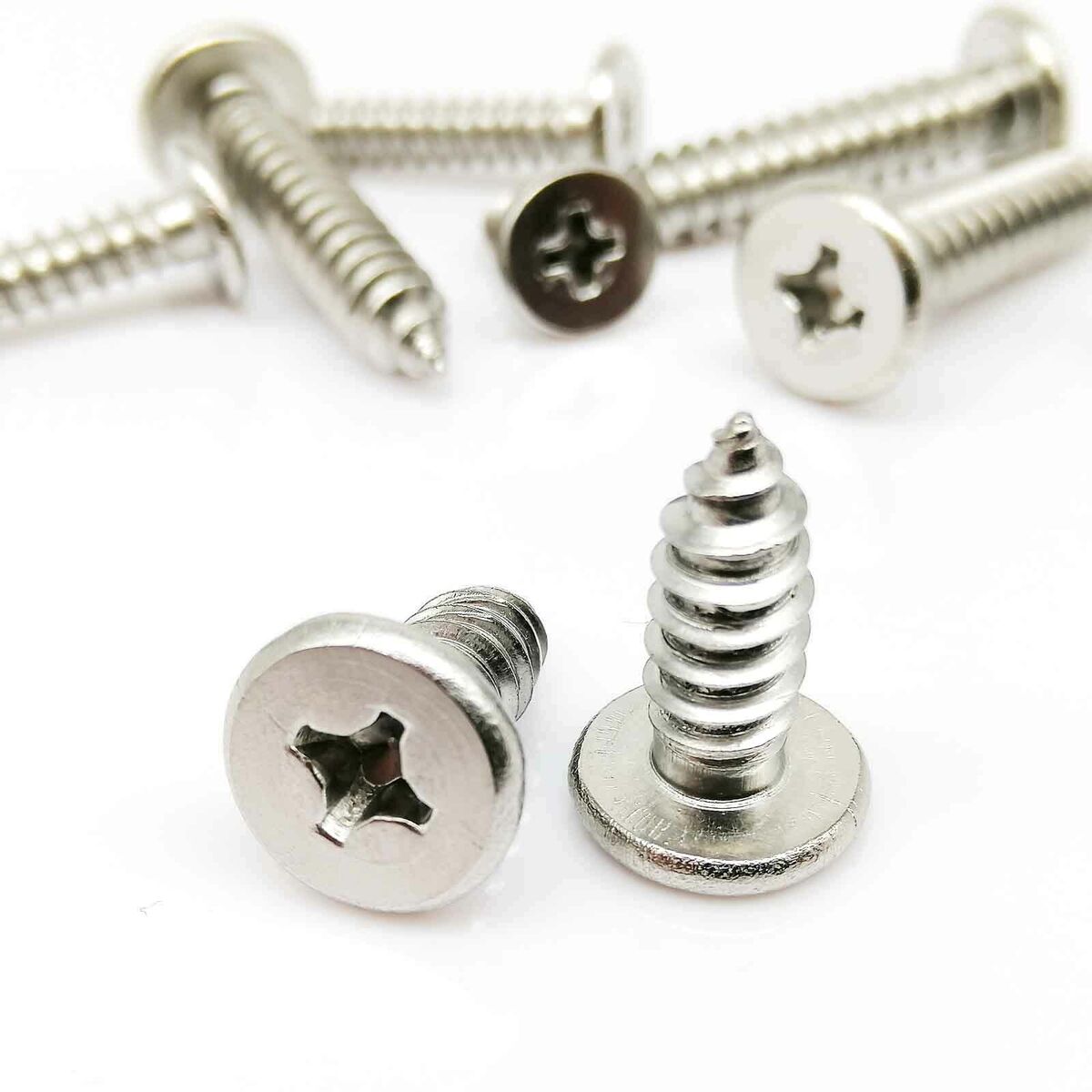 Wafer Head Screws – Fasten Up
